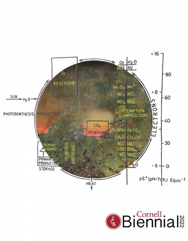 Cornell Council for the Arts – A Platform for Contemporary Arts at Cornell