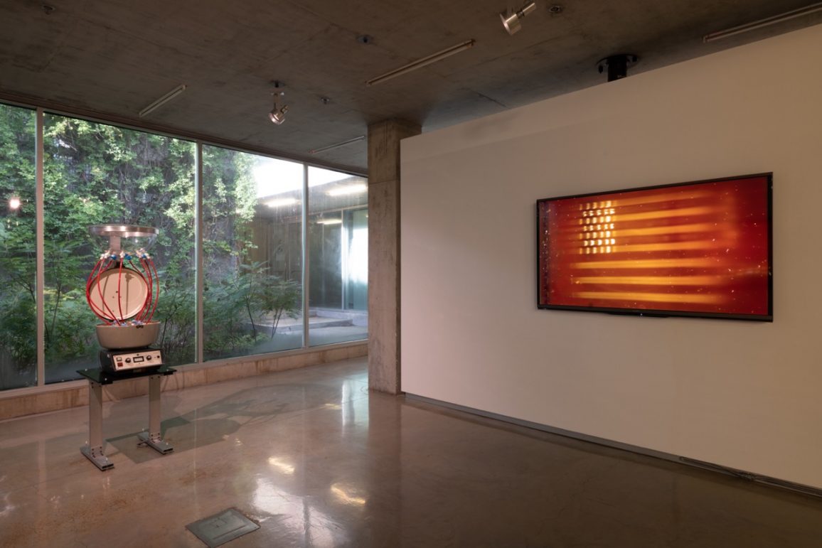 2022 Cornell Biennial: In Review – Cornell Council for the Arts